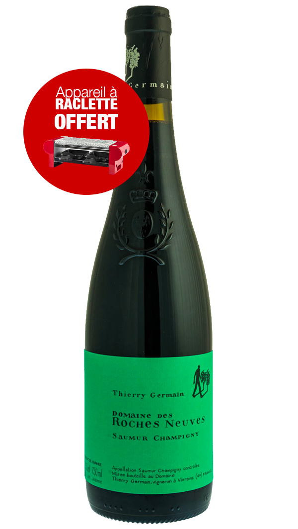 Domaine des Roches Neuves - Cash Vin