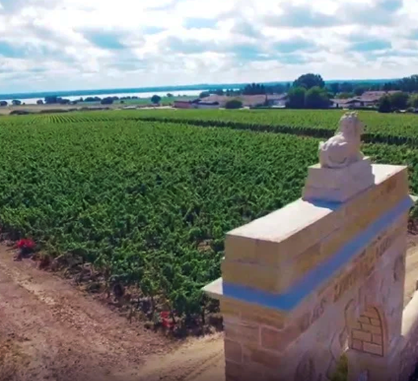 Appellation : Saint Julien - Cash Vin