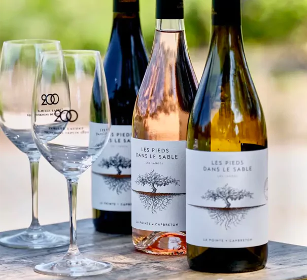 Les Pieds dans le Sable Rouge - Cash Vin